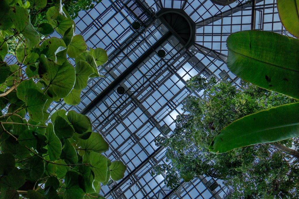 Ecological glass greenhouse – PandaSunshade